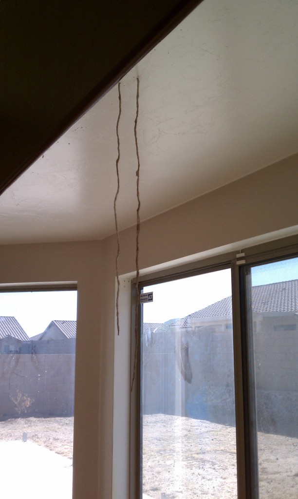 Subterranean termites - Tucson Exterminators | AMA Exterminating ...